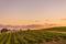 Home Page - Delatite Wines