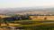 Home Page - Delatite Wines