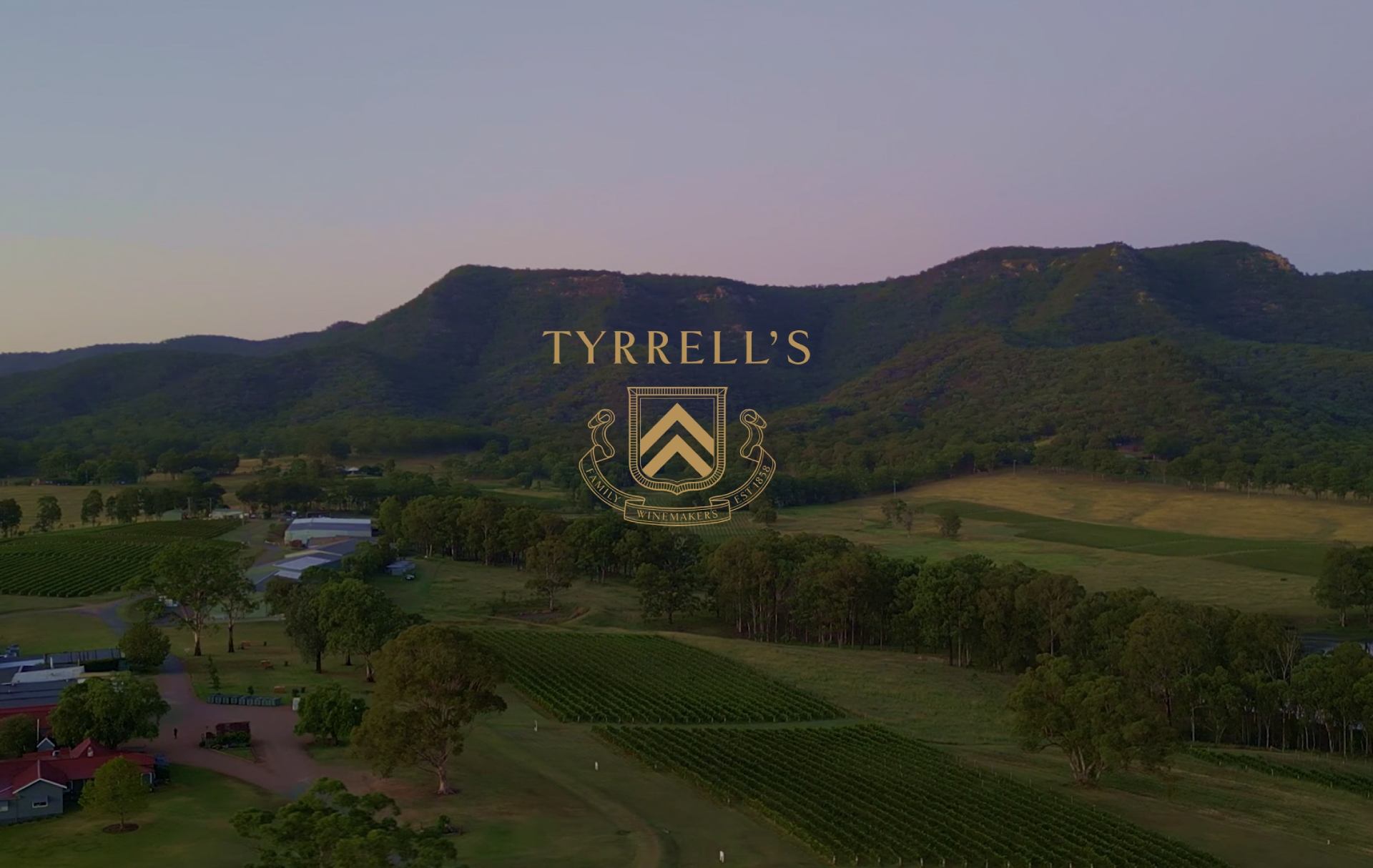 Wines - Tyrrell's
